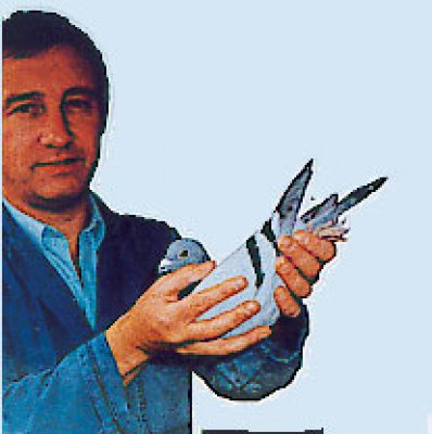 Dave Allen 'The Living Legend' DVD pigeons.co.uk