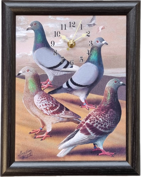 Quartz Pigeon Clock in Picture Frame pigeons.co.uk