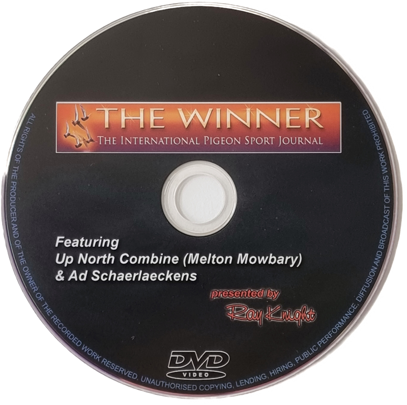 "THE WINNER" DVD pigeons.co.uk